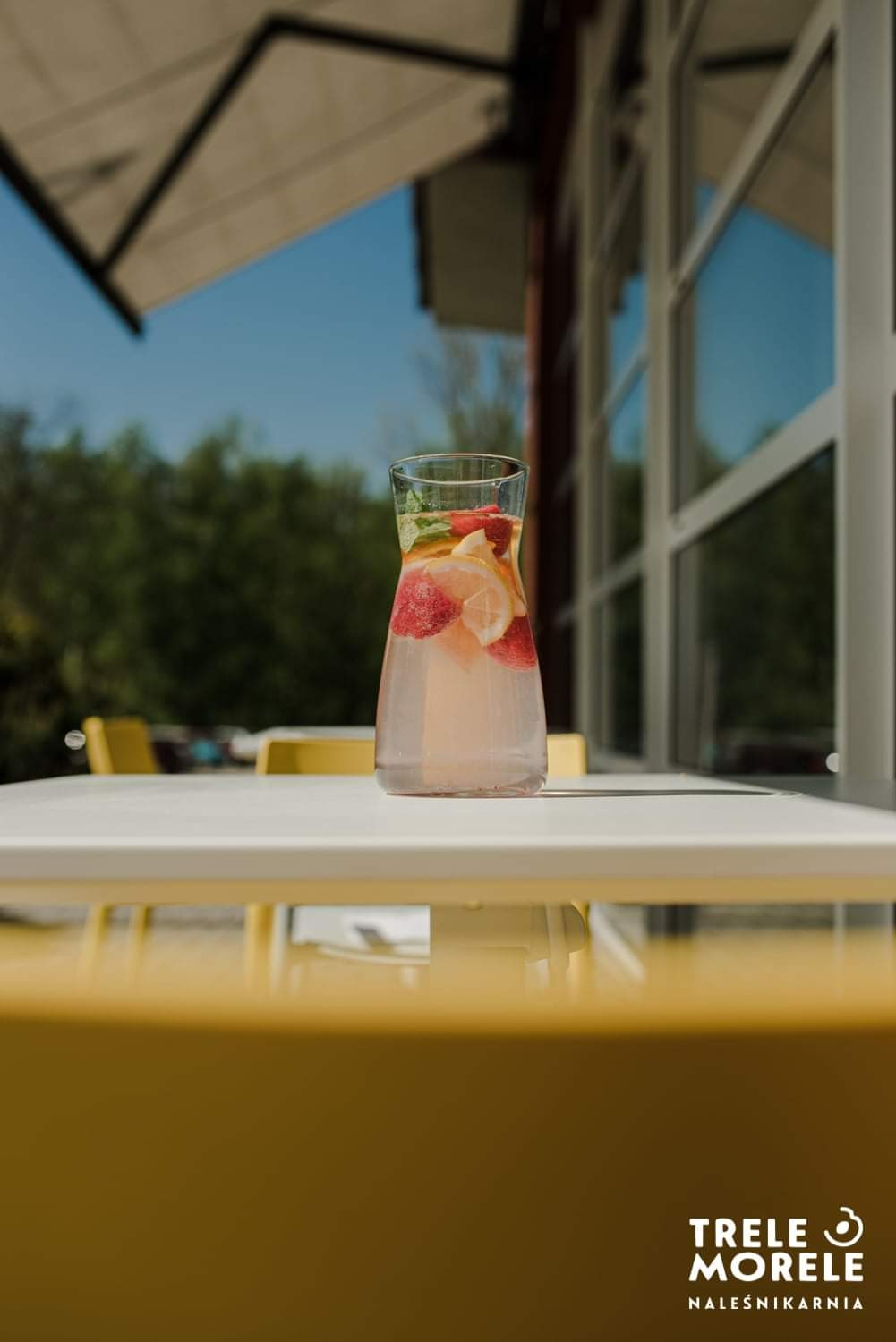 Galeria - Trele Morele Jastrzębie Zdrój